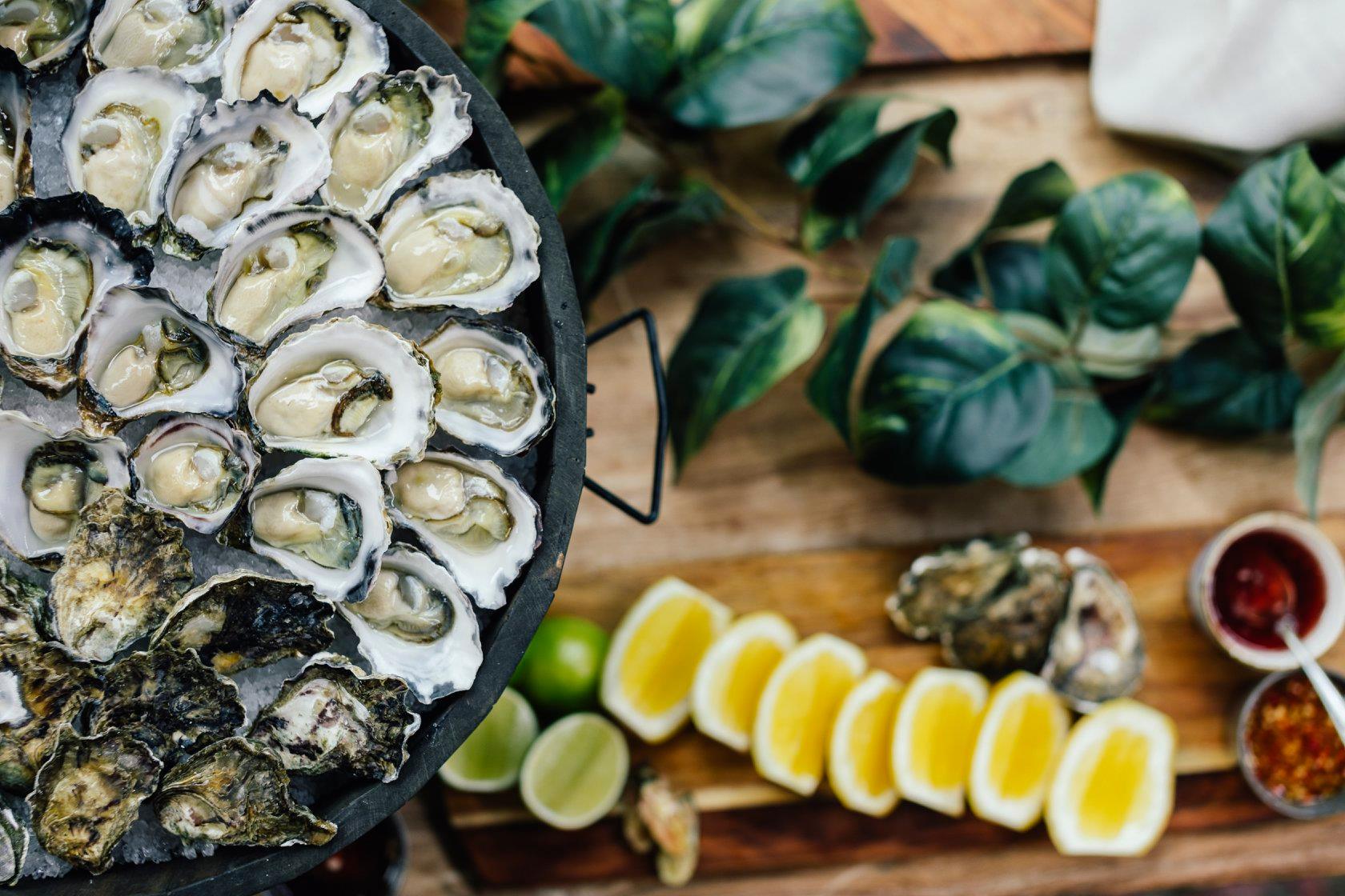 5 Events to Look Forward to This Summer in North Sydney - North Sydney ...