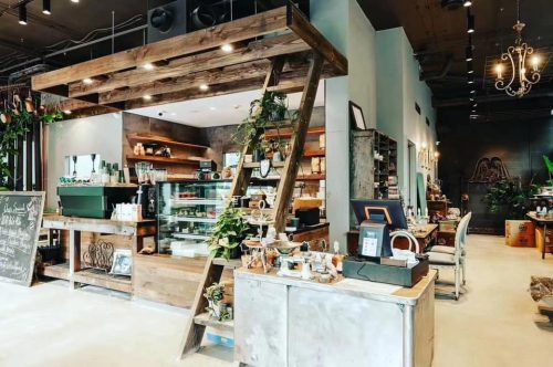 Exciting New Local Cafes and Restaurants - North Sydney living