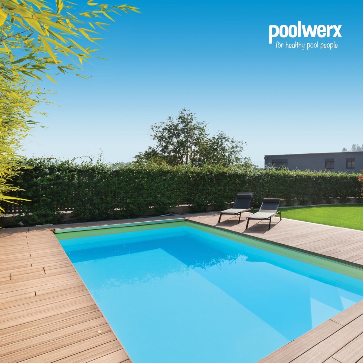 Ask an Expert: Poolwerx Makes Summer Ready Pools - North Sydney Living