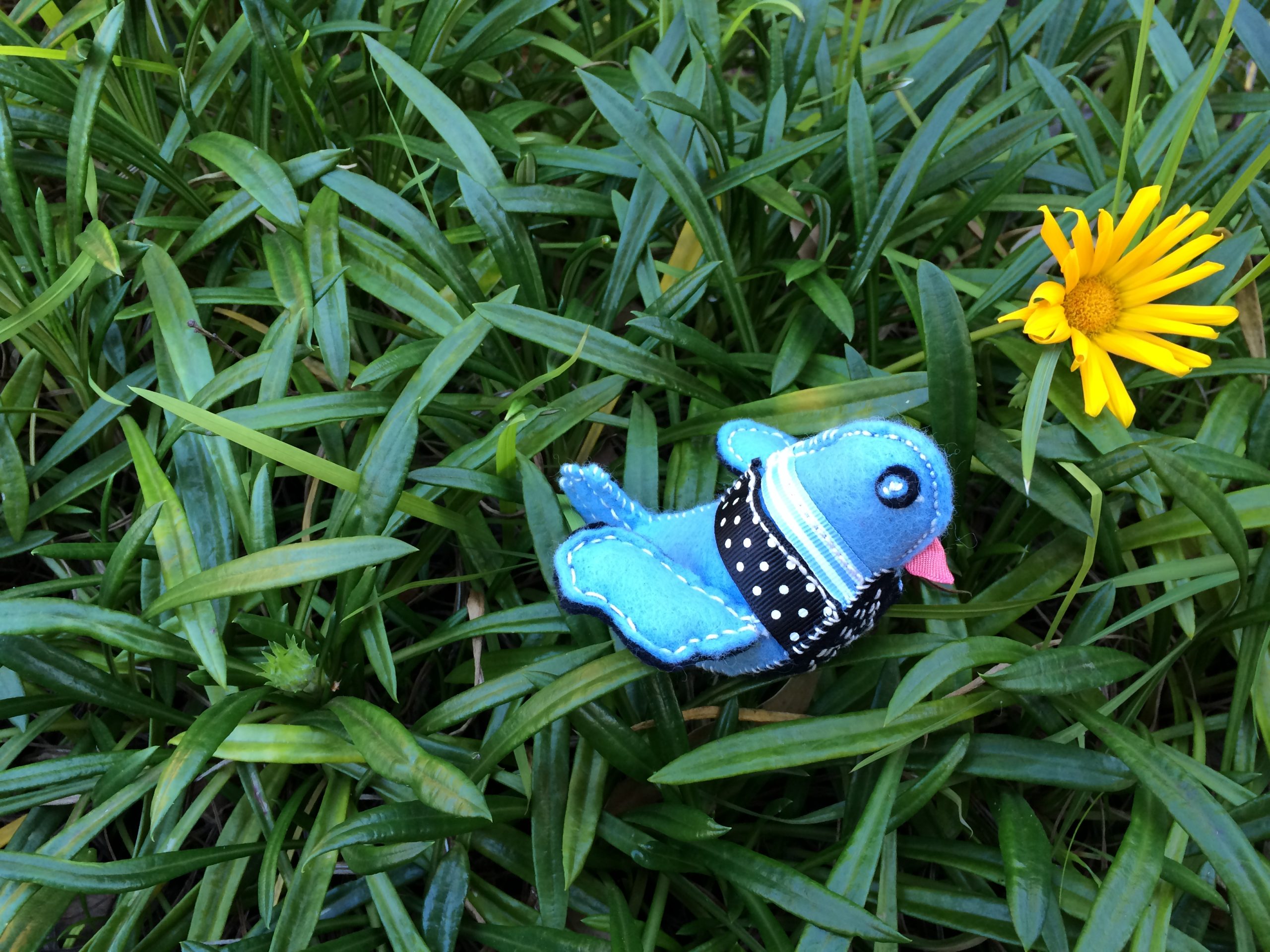 Lost Bird Found is back in town - North Sydney Living