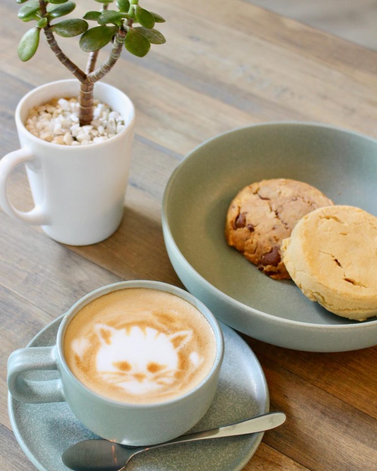 Coffee With a Cat Cuddle: New Rescue Café Opens - North Sydney Living