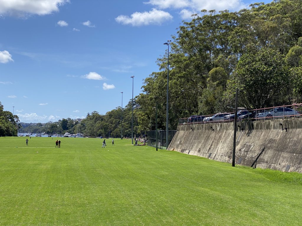 Plans for a Primrose Park Overhaul: Have Your Say - North Sydney Living