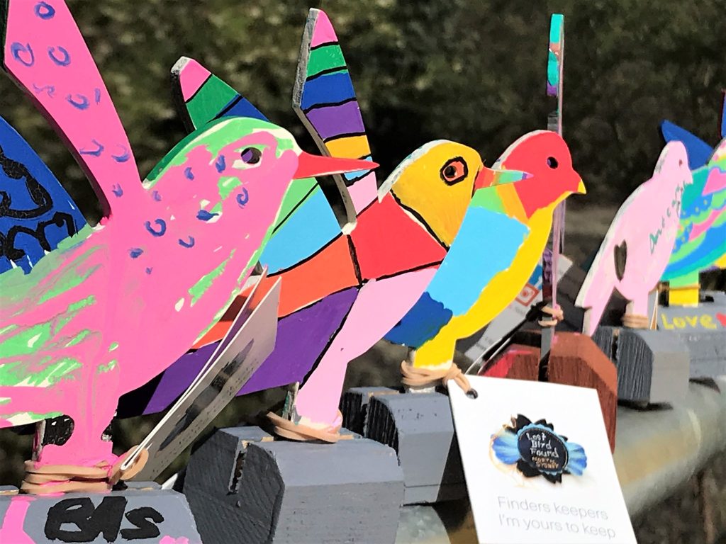 Fly High With The Lost Bird Found Project - North Sydney Living