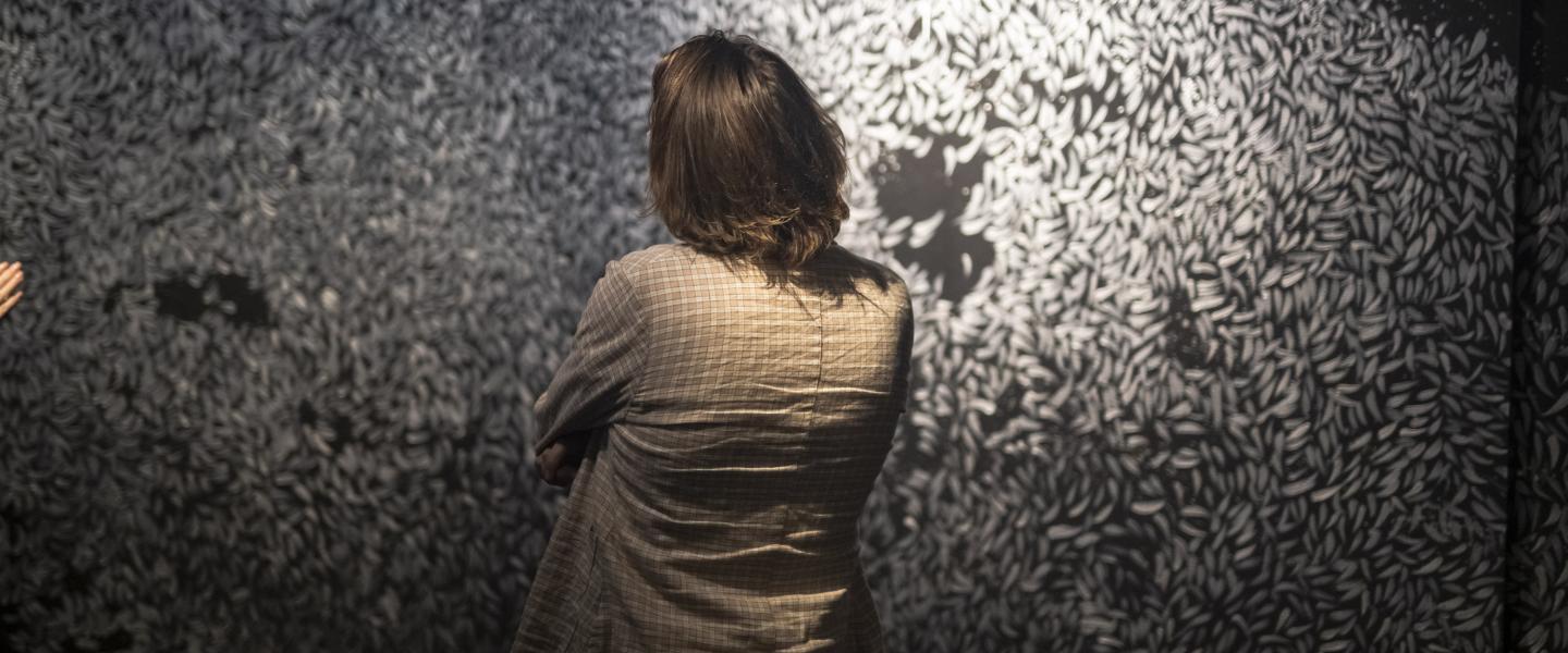 Highlights Tour - North Sydney Living