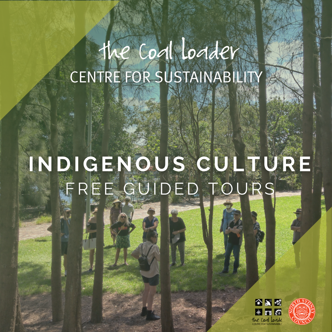 Indigenous Cultural Tour - North Sydney Living