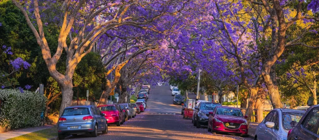 Kirribilli Suburb Guide: What To Eat, Drink And Do